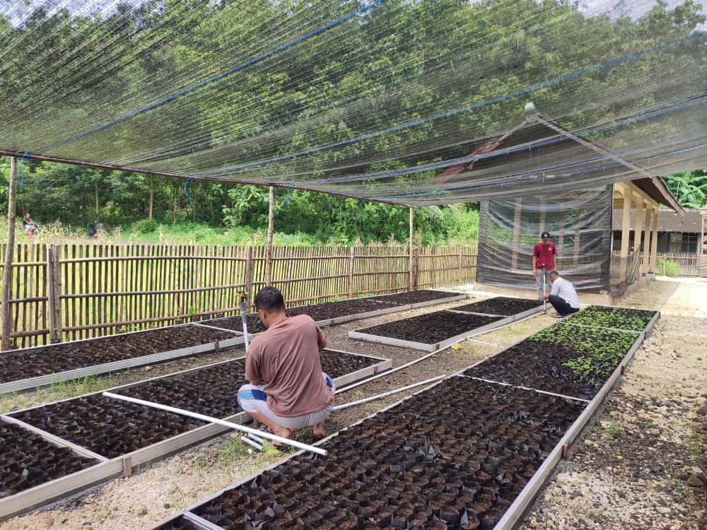 Rumah Bibit Desa Berdaya Energi Gunungkidul Terapkan Electrifying ...